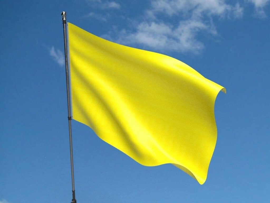 Kenali 7 Warna pada Sistem Bendera dalam Balap Motocross | VMX Indonesia